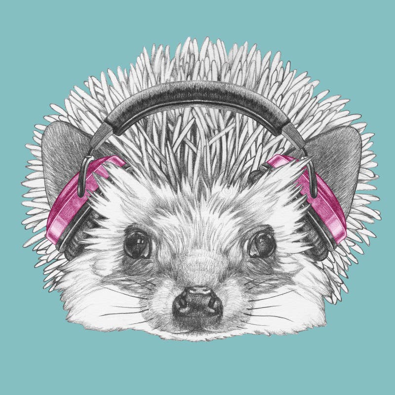 Hedgehog with headphones stock vector. Illustration of hedgehog - 42715919