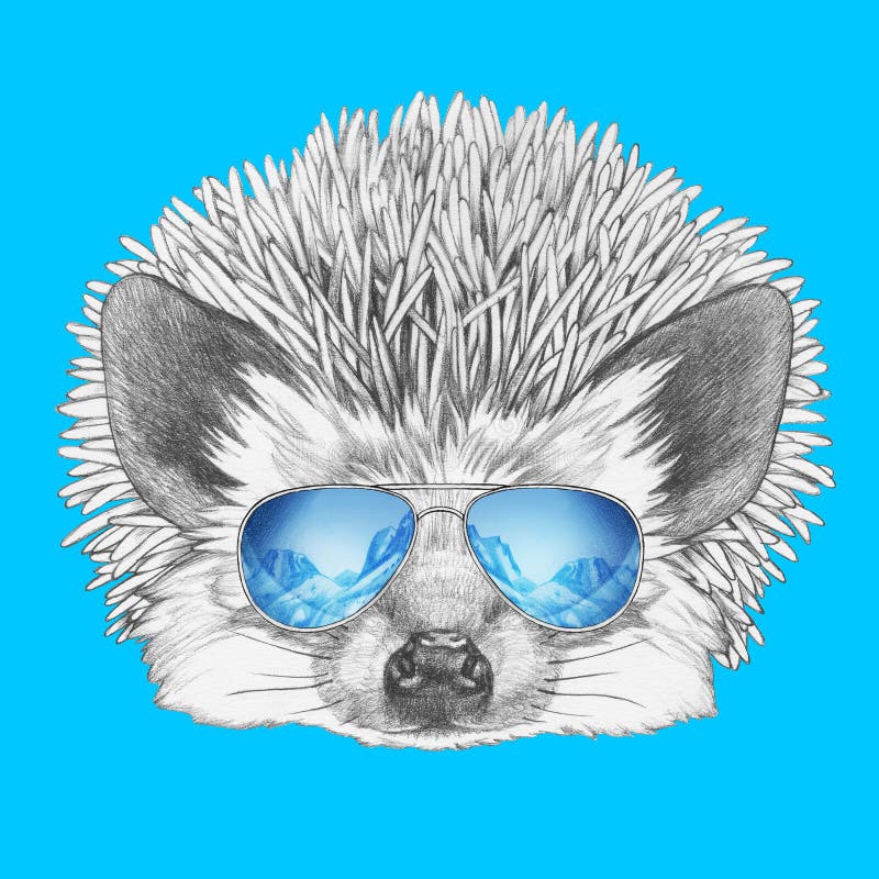 Portrait of Hedgehog with Mirror Sunglasses. Stock Illustration ...