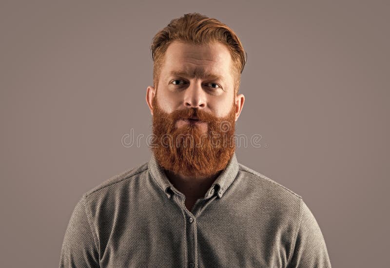 Portrait of Irish Man Isolated on Grey. Bearded Man with Unshaven Face ...