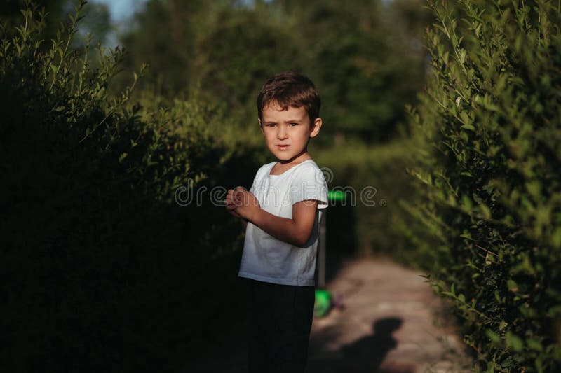 Portrait of Kindergarten Boy Walking in Park in Summer Stock Image ...