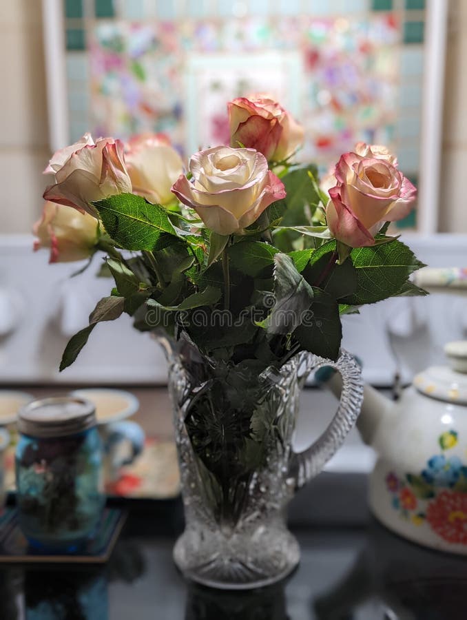 Portrait of Kitchen Roses stock photo. Image of portrait - 258016734