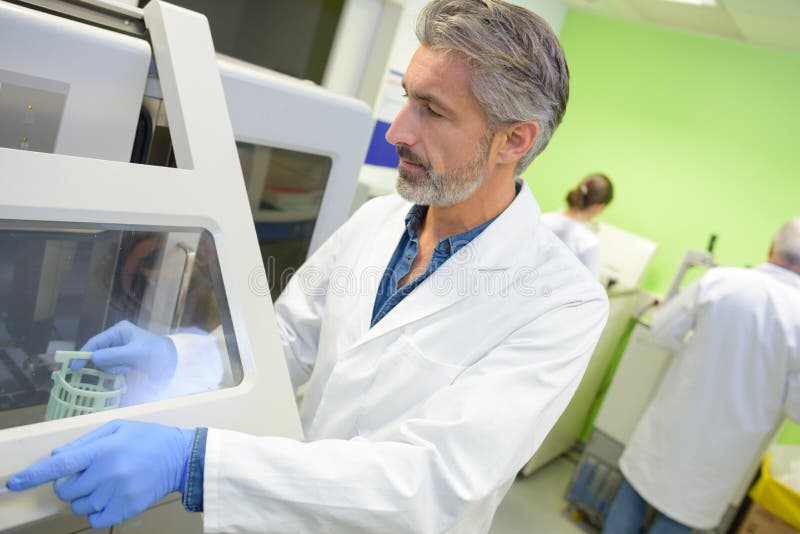 Portrait Laboratory Personnel Working Stock Image - Image of examine ...