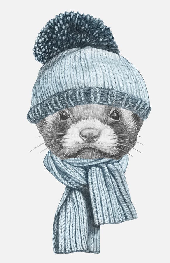 Portrait of Least Weasel with Hat and Scarf. Stock Illustration ...