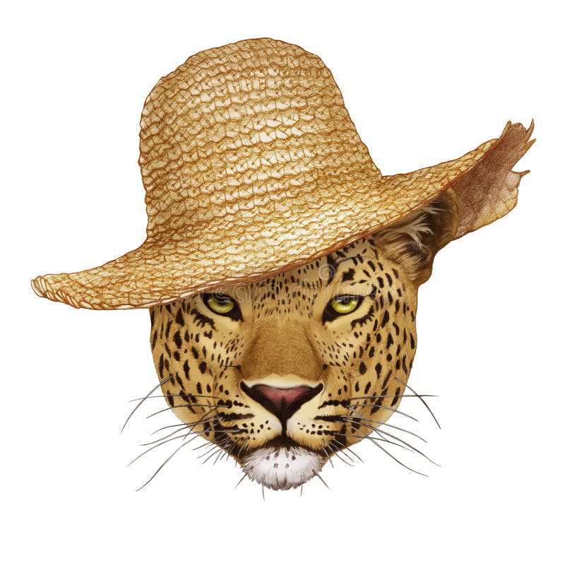 Portrait of Leopard with Straw Hat. Stock Illustration - Illustration ...