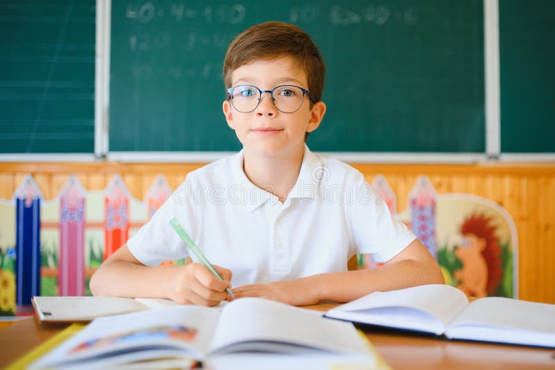 Portrait of Little Boy Studying in Classroom at School Stock Image ...