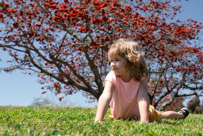 Portrait of Little Boy in Summer Nature Park. Stock Image - Image of ...