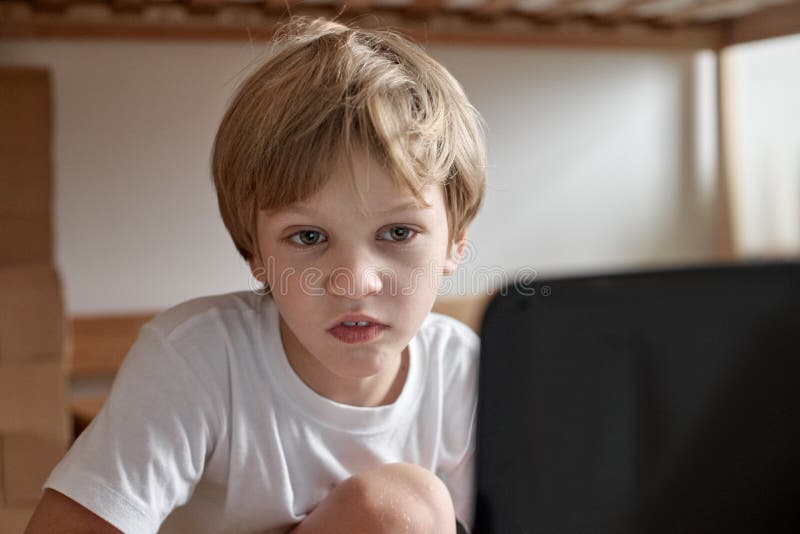 Concentrated Boy With Laptop Stock Photo - Image of concentrated ...