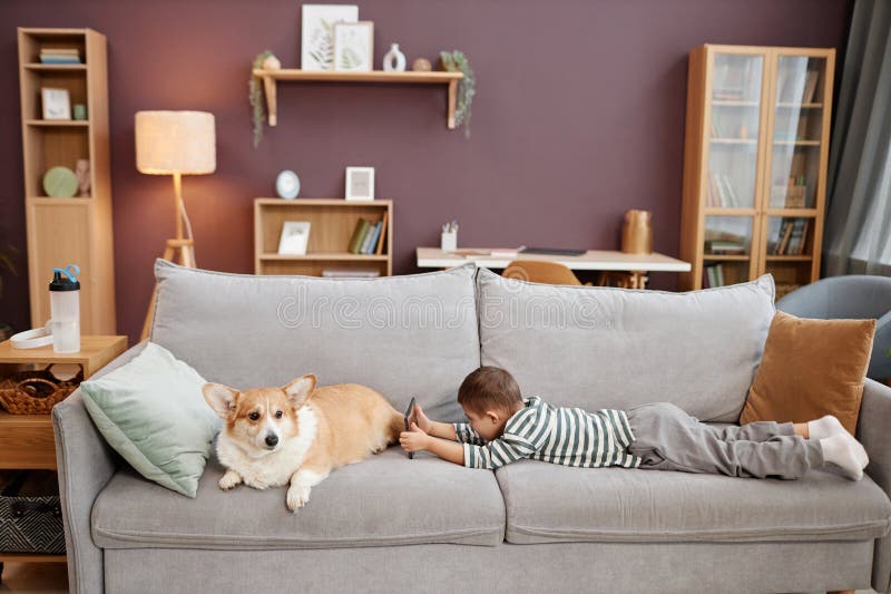 Little Boy Using Tablet Playing Mobile Games Laying on Sofa with Dog ...