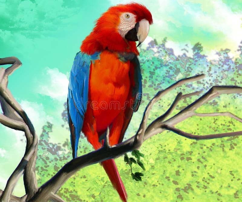 Portrait of macaw bird stock illustration. Illustration of safari ...