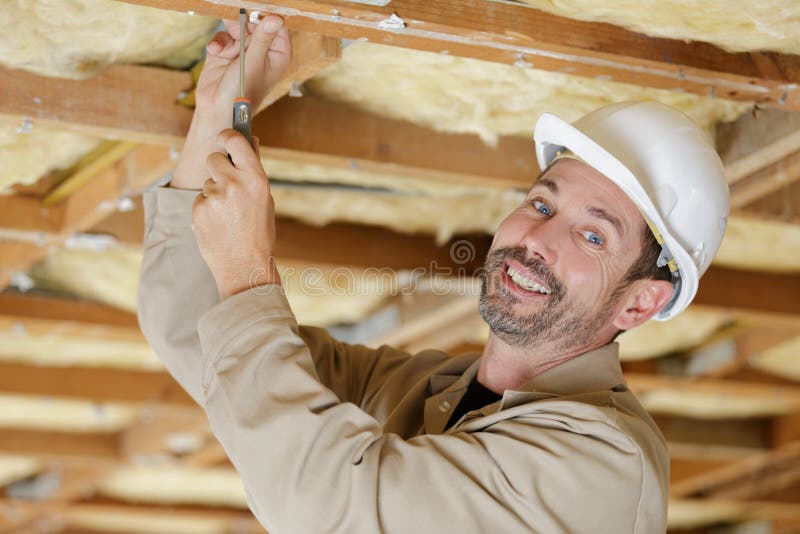 Portrait Male Builder Fixing Ceiling Stock Photo - Image of system ...