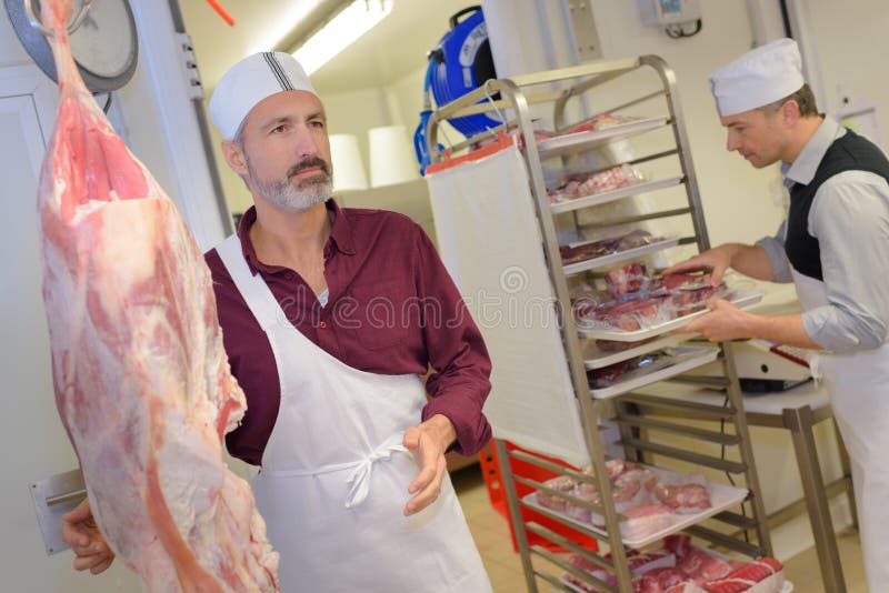 Portrait Male Butcher Working in Store Stock Image - Image of ...