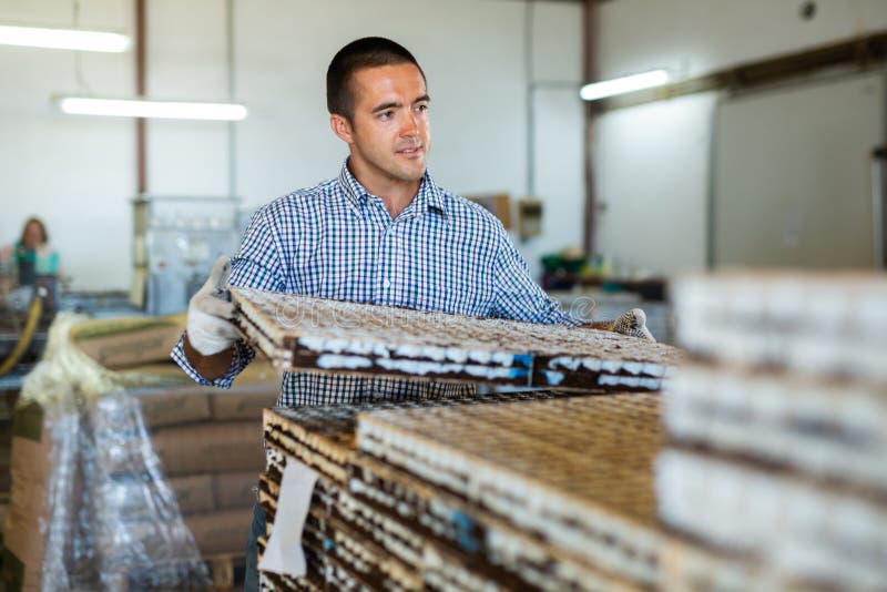 Portrait of Male Farm Worker Loading Boxes with Vegetable Seeds in ...