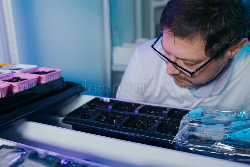 Portrait of a Male Laboratory Assistant. Watching the Seeds Grow Stock ...
