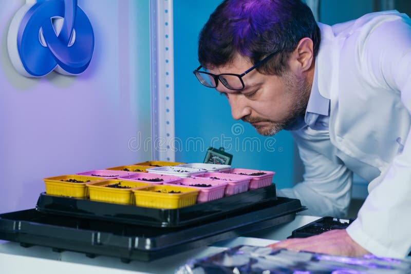 Portrait of a Male Laboratory Assistant. Watching the Seeds Grow Stock ...