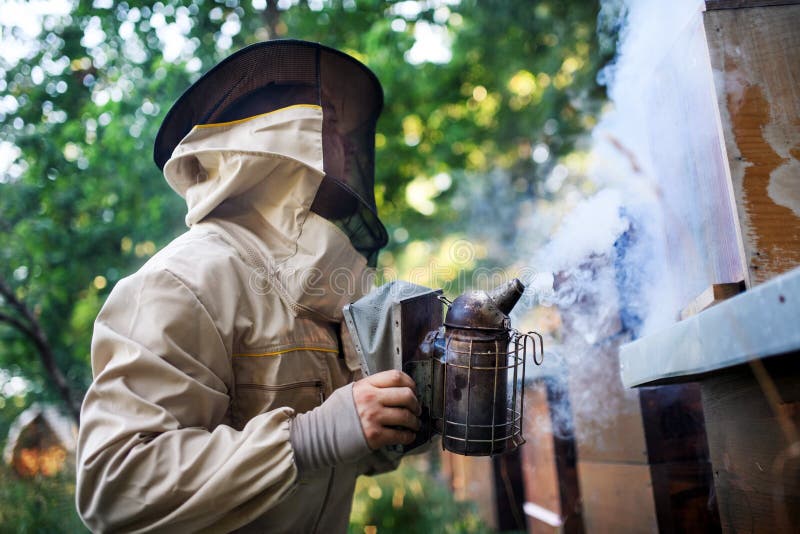 Portrait of Man Beekeeper Working in Apiary, Using Bee Smoker. Stock ...
