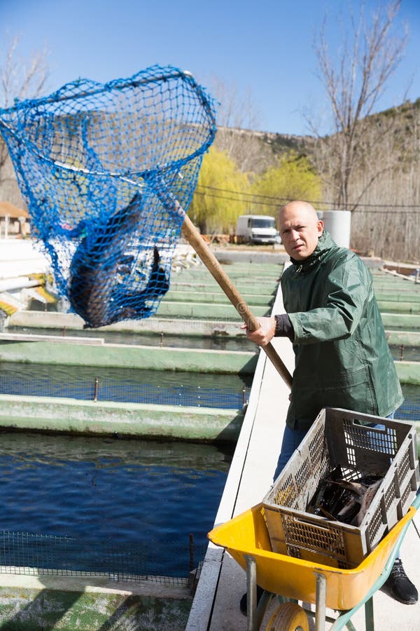 Portrait of Man Fish Farm Worker Stock Photo - Image of commercial ...