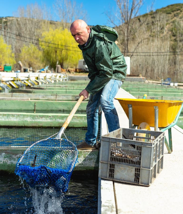 Portrait of Man Fish Farm Worker Stock Photo - Image of male ...