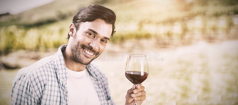 Portrait of Man Holding Wine Glass Stock Photo - Image of caucasian ...