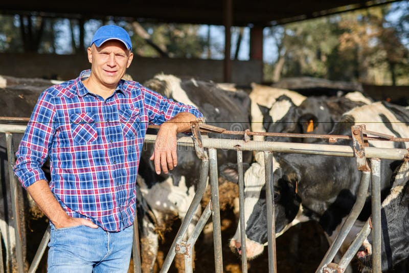 Portrait of a Man on Livestock Ranches. Stock Image - Image of male ...