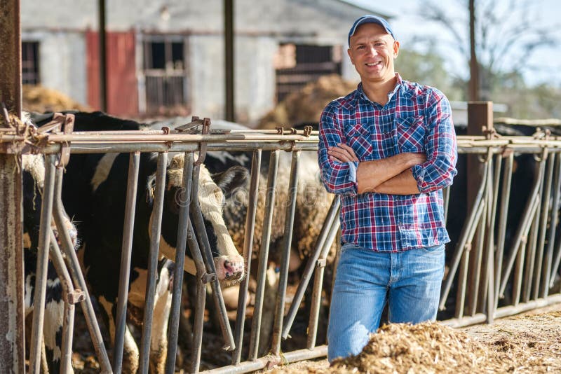 Portrait of a Man on Livestock Ranches. Stock Photo - Image of cattle ...