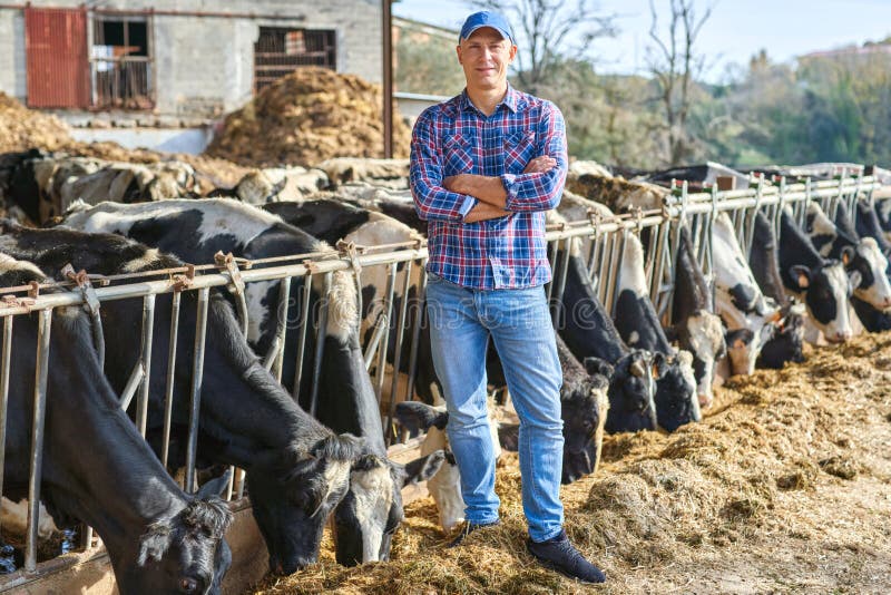 Portrait of a Man on Livestock Ranches. Stock Photo - Image of cattle ...