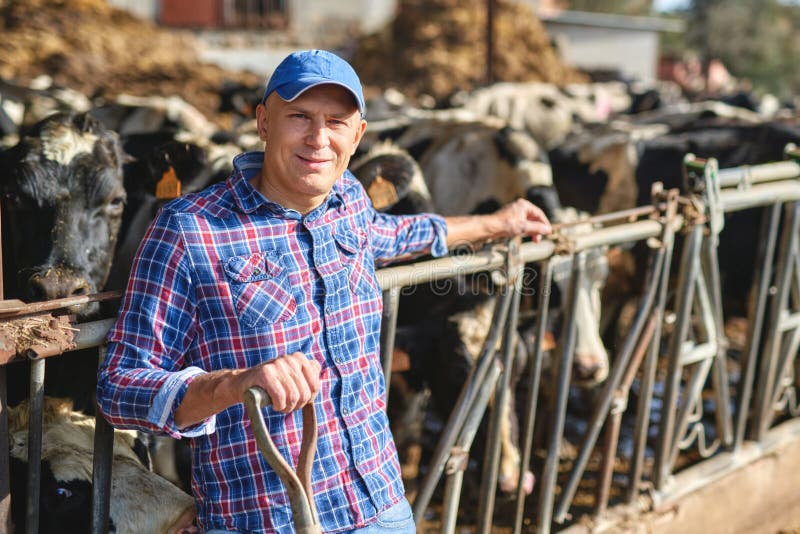 Portrait of a Man on Livestock Ranches. Stock Photo - Image of farmer ...