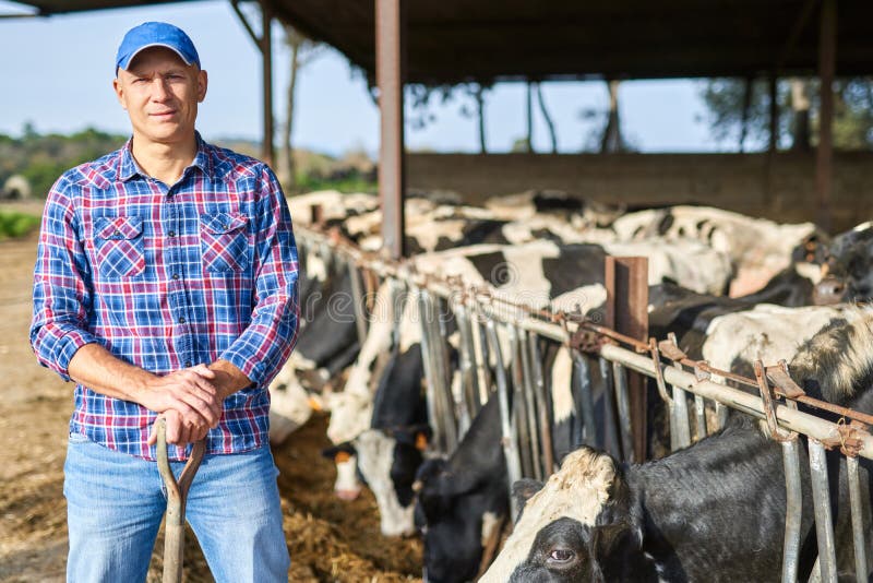 Portrait of a Man on Livestock Ranches. Stock Image - Image of ...