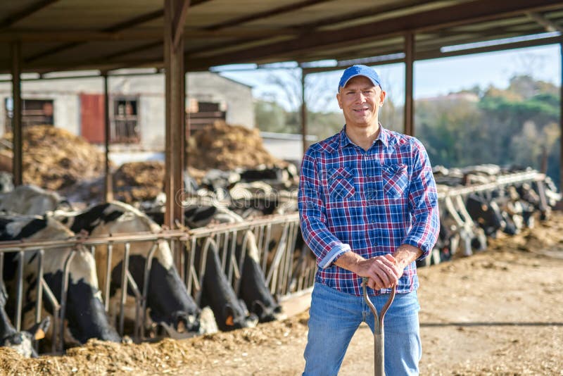Portrait of a Man on Livestock Ranches. Stock Image - Image of beef ...