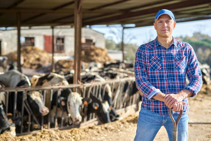 Portrait of a Man on Livestock Ranches. Stock Image - Image of cowherd ...