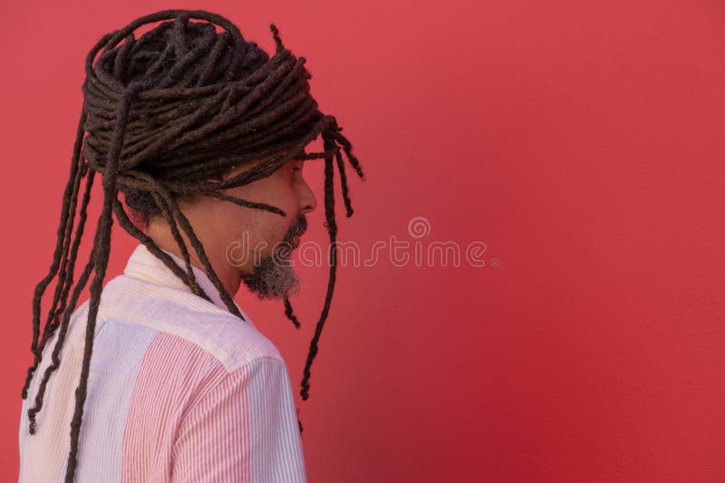 Rear View of Man with Locs Hairstyle Stock Image - Image of wall ...