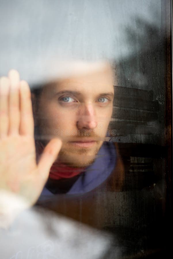 Cat looking throw branches stock photo. Image of home - 220136712