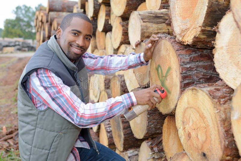 Portrait man marking log stock image. Image of grade - 201722657