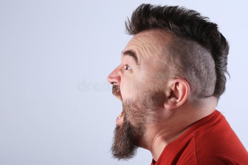 Profile of Man with Mohawk stock image. Image of profile - 12162623