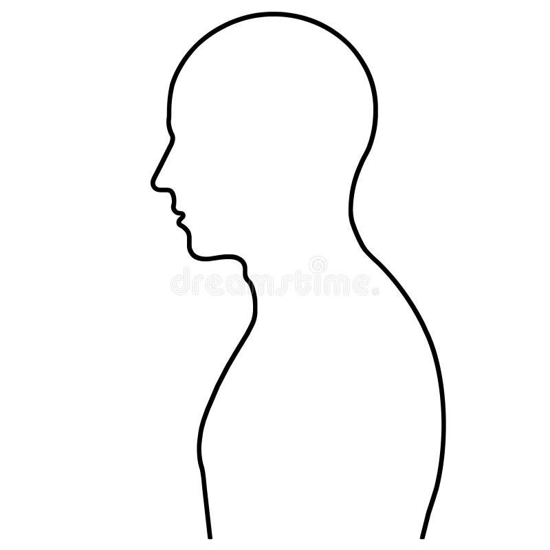 Human Upper Body Outline Illustration on White Background Stock ...
