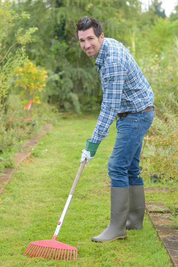 Portrait man raking grass stock photo. Image of tree - 331788082
