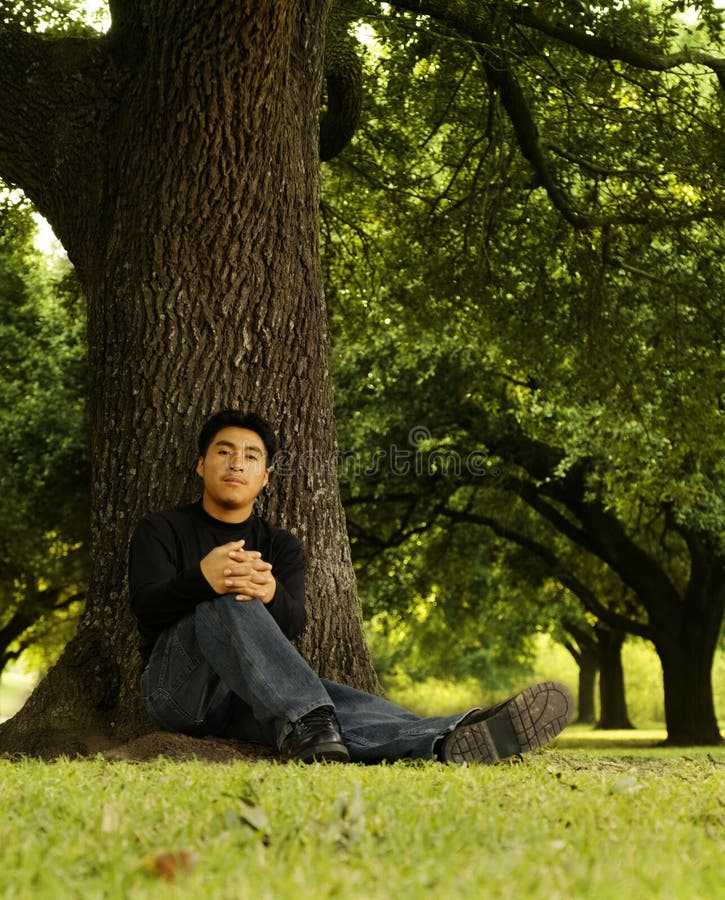 Portrait of Man Sitting by Tree 2 Stock Photo - Image of green, nature ...
