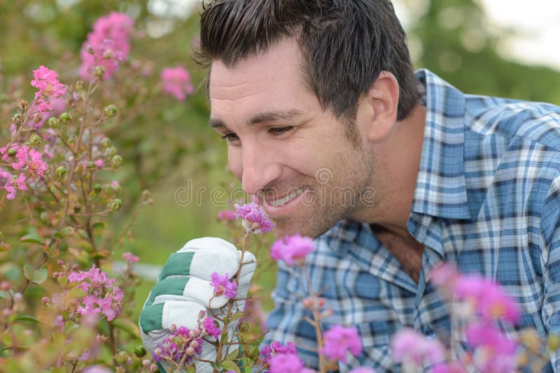 Portrait Man Smelling Outdoor Flowers Stock Image - Image of smell ...