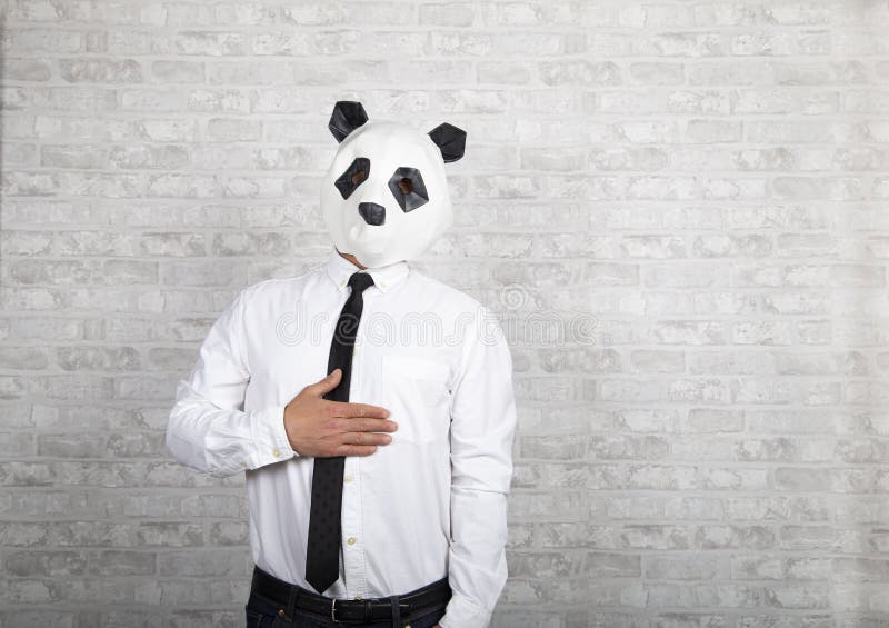 Portrait of a Man with Tie and Panda Bear Head Stock Photo - Image of ...
