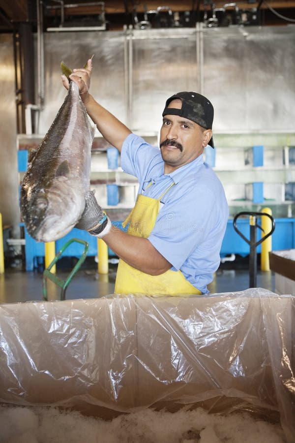 Portrait of Mature Fishmonger Holding Salmon Fish Stock Image - Image ... Portrait of Mature Fishmonger Holding Salmon Fish Stock Image - Image ...
