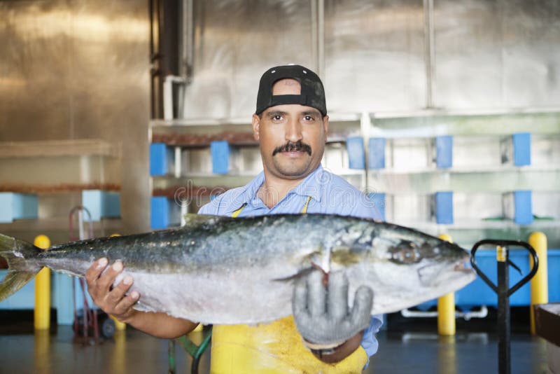 Portrait of Mature Fishmonger Holding Salmon Fish Stock Image - Image ... Portrait of Mature Fishmonger Holding Salmon Fish Stock Image - Image ...