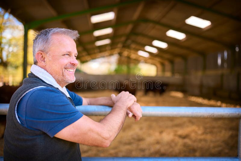 Mature Male Student Raising Hand in Class Stock Photo - Image of ...