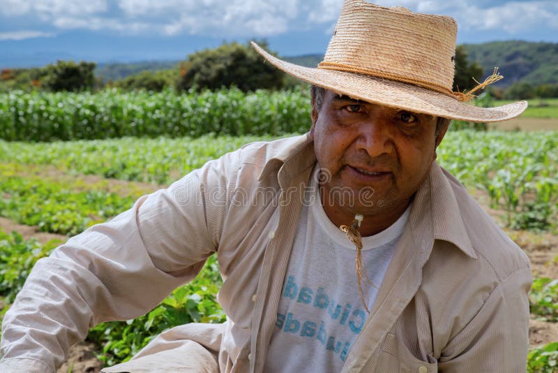 Mexican Farmer& X27;s Hands on Farming Tools Stock Photo - Image of ...