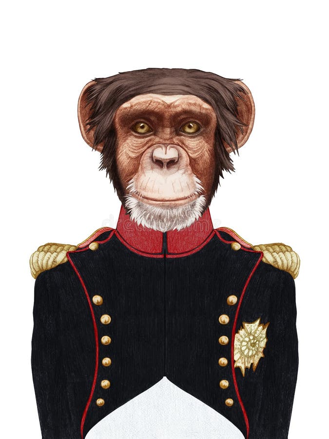 Monkey Military Stock Illustrations – 250 Monkey Military Stock ...