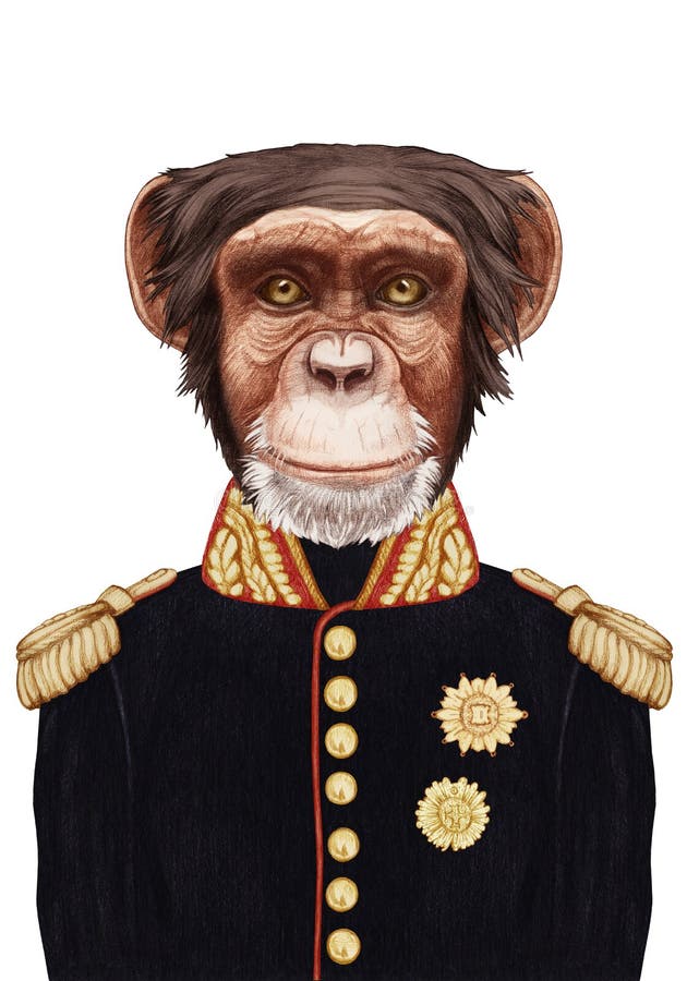 Portrait of Monkey in Military Uniform. Stock Illustration ...