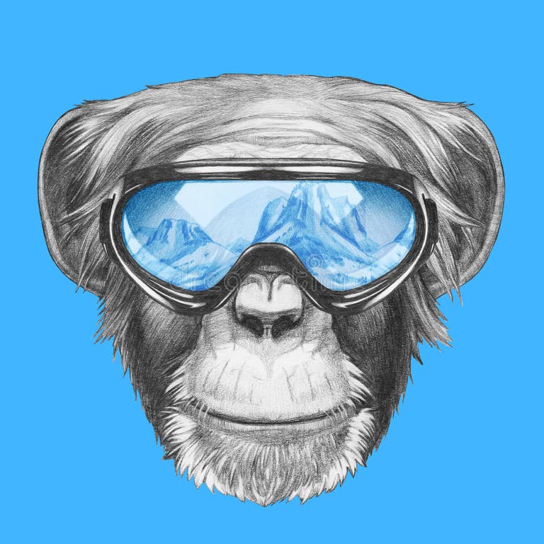 Monkey Ski Stock Illustrations – 71 Monkey Ski Stock Illustrations ...