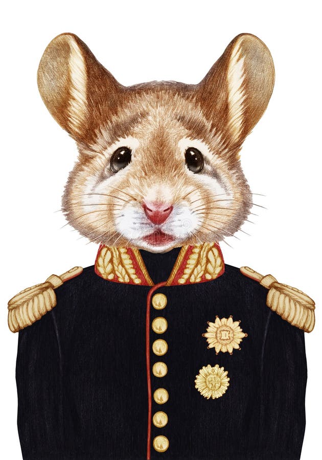 Portrait of Mouse in Military Uniform. Stock Illustration ...