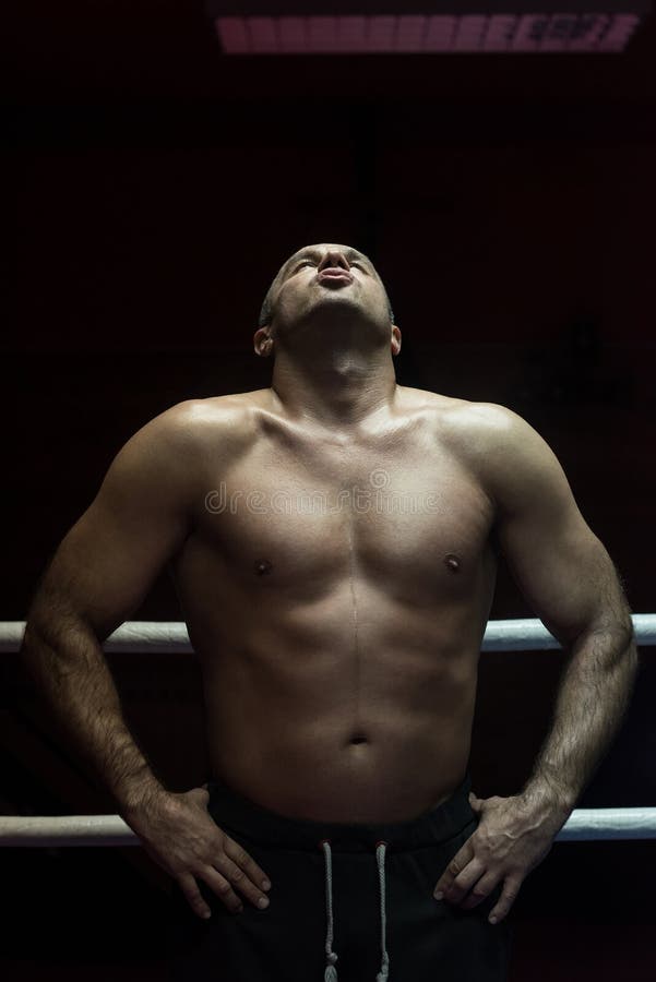 Portrait of Muscular Professional Kickboxer Stock Image - Image of body ...