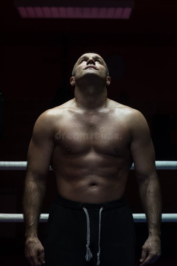 Portrait of Muscular Professional Kickboxer Stock Photo - Image of ...