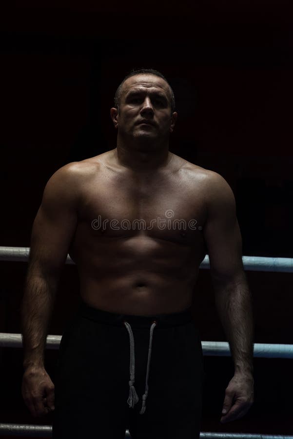 Portrait of Muscular Professional Kickboxer Stock Image - Image of ...