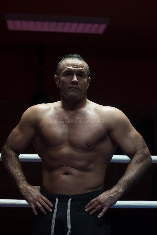 Portrait of Muscular Professional Kickboxer Stock Photo - Image of ...